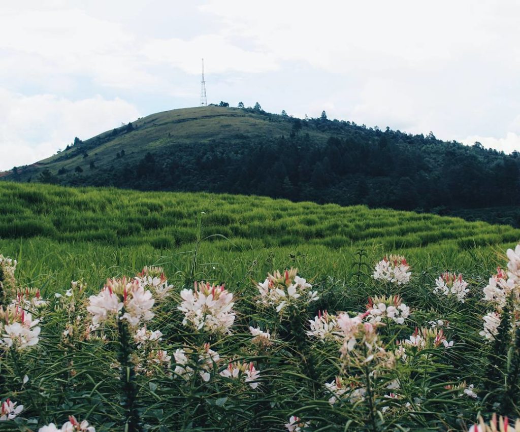 Sipirok, Wisata yang Elok di Ibukota Tapanuli Selatan - Travel Diva