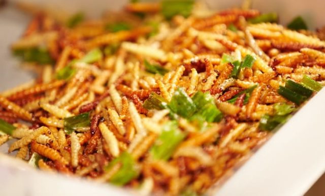 Gurihnya Ulat Bambu Goreng di AEON Mall Phnom Penh - Travel Diva