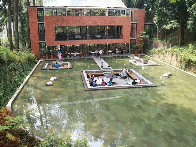 5 Tempat Nongkrong di Bogor yang Sejuk dan Kekinian dengan Pemandangan Asri - Travel Diva